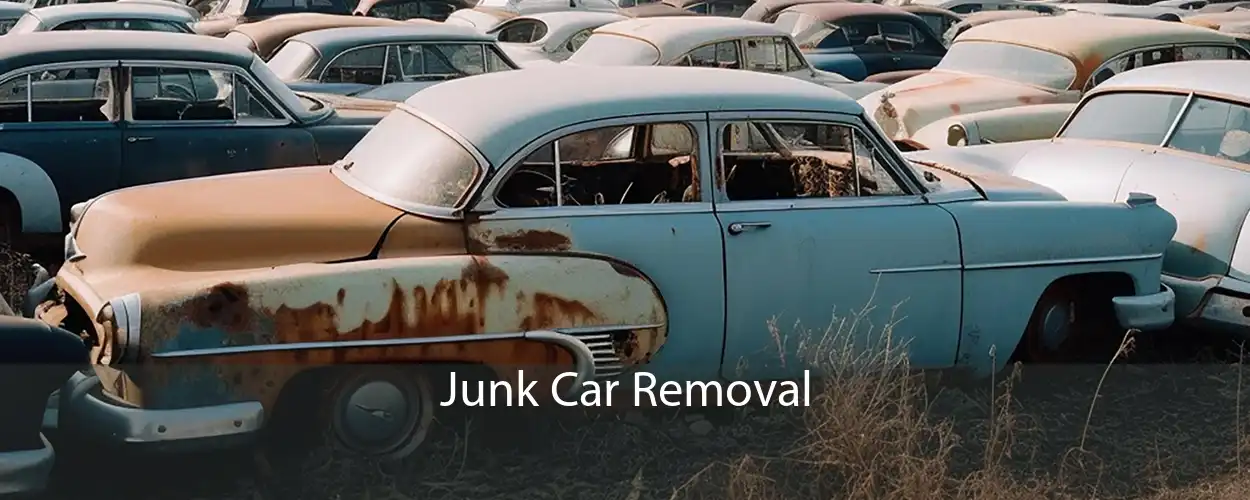 Junk Car Removal - Junk Car Removal Company
