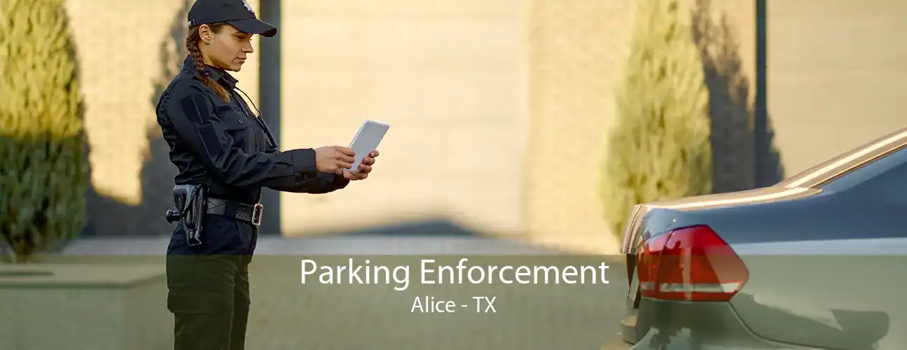 Parking Enforcement Alice - Best Parking Enforcement